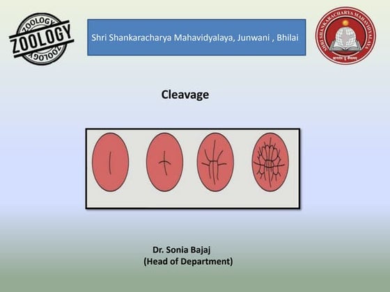 Structure of human sperm and ovum | PPTX | Infertility | Reproductive ...