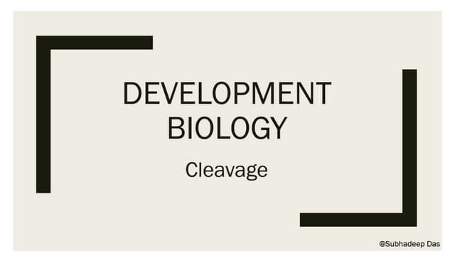 Cleavage, Types of cleavage | PPTX
