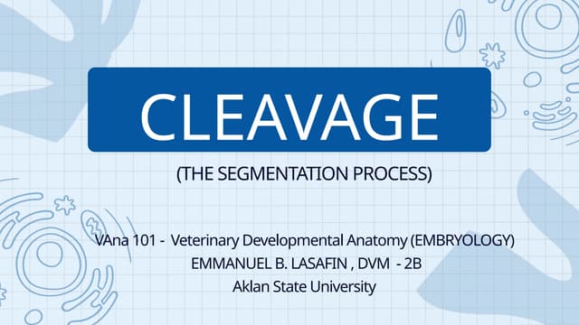 Cleavage Types Of Cleavage Pptx