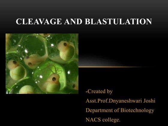 Cleavage, Types of cleavage | PPTX | Biological Sciences | Science