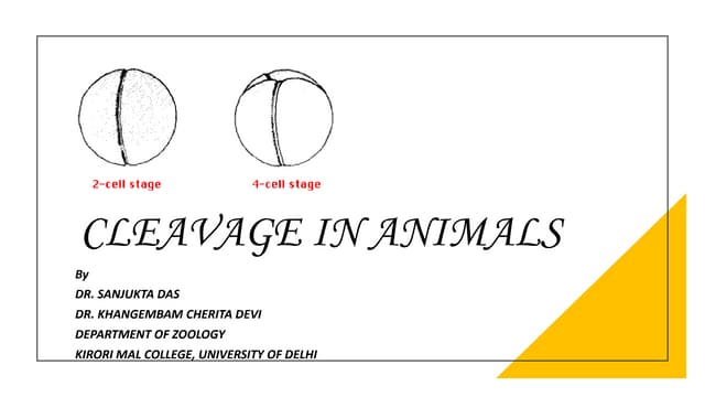 Cleavage, Types of cleavage | PPTX