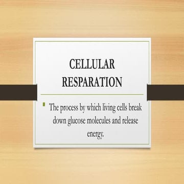 Cellular Respiration presentation in Science | PPTX