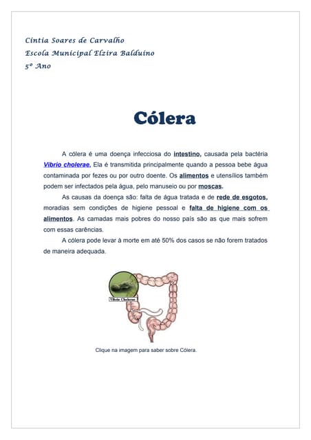 Presentación colera | PPT