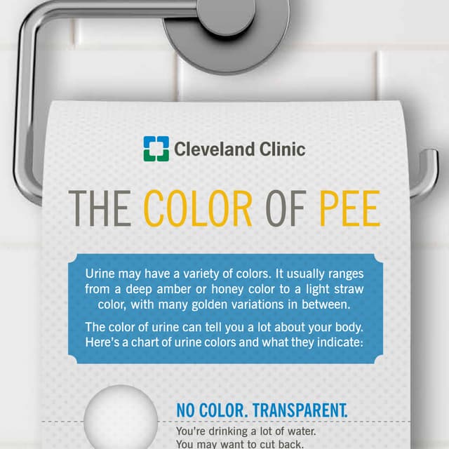 What The Color of Your Pee Says About You | PDF