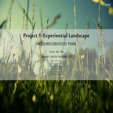CL Experiential Landscape | PPT