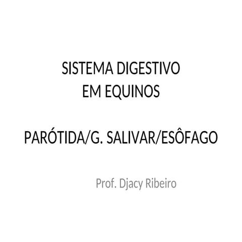 Sistema digestivo equino esofago e outro | PPT