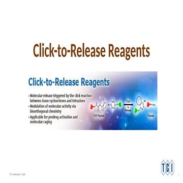 INDIAN NURSING COUNCIL.pptx by devanand hurgule | PPTX