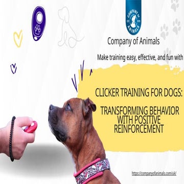 Clicker Training for Dogs: Transforming Behavior with Positive ...