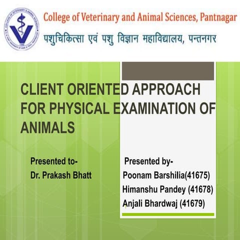 Clinical examination of Cattle | PPT