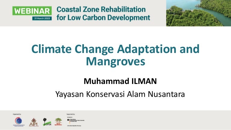 Climate Change Adaptation and Mangroves - CIFOR-ICRAF Knowledge