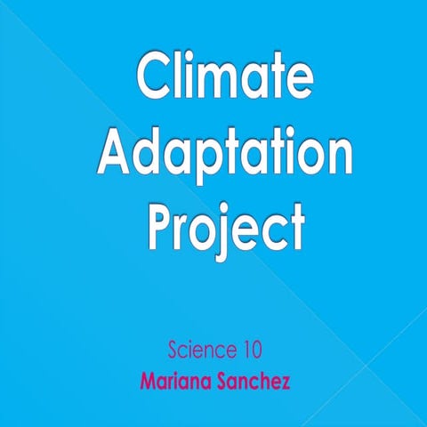 Climate adaptation project: Koala | PPTX