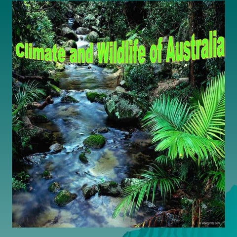 Climate and Wildlife of Australia | PPT