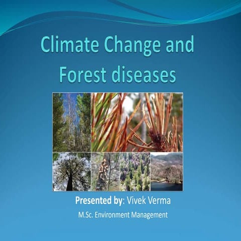 Climate change and forest diseases | PPT
