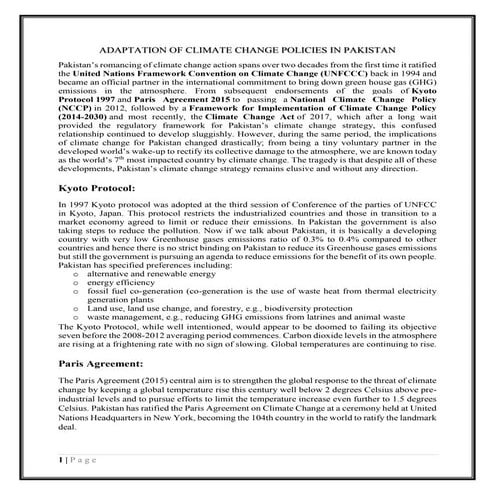 Climate Change Policies.docx | Environment | Science