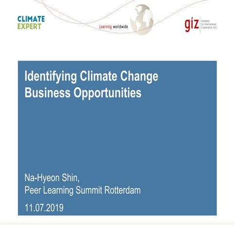 Identifying Climate Change Business Opportunities | PDF