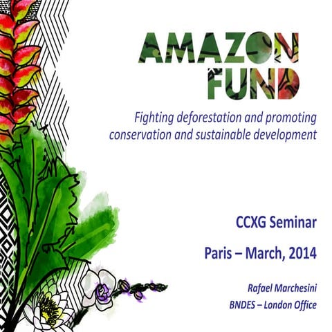 Climate finance marchesini (bndes)amazon fund fightingdeforestation ...