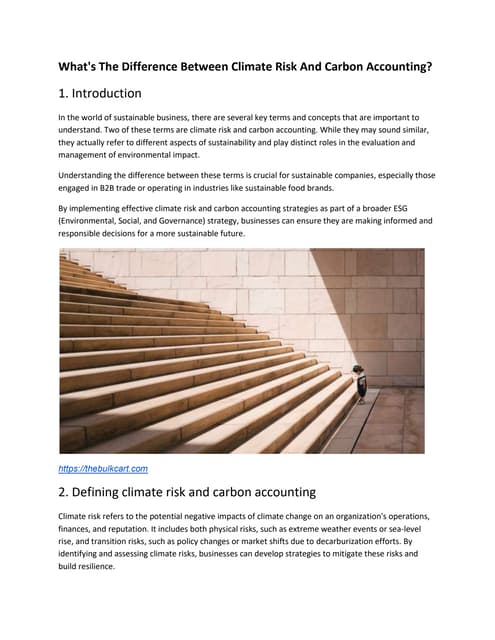 Sustainability Reporting Guidelines Role | PDF