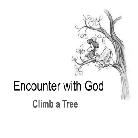 Climb a tree | PPT