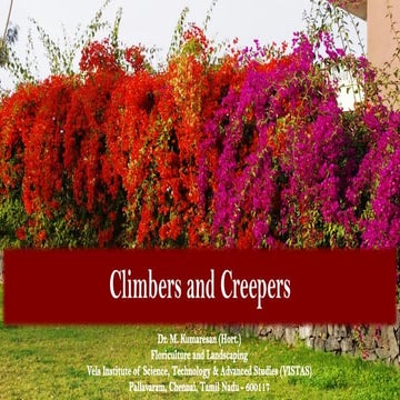 Climbers and Creepers used in landscaping | PDF