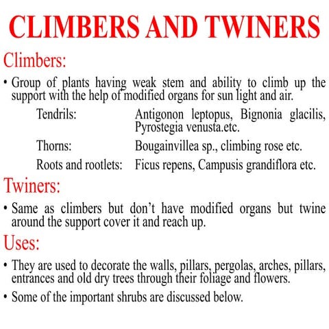 Ornamental climbers which used in landscaping | PDF