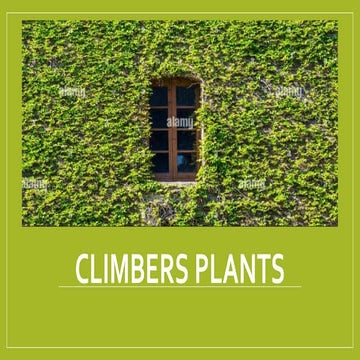 Climbers plants landscape.pptx