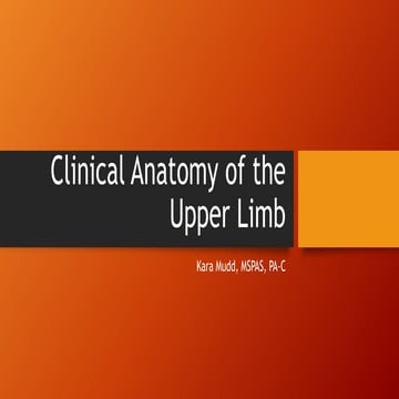 Nerves of upper limb | PDF