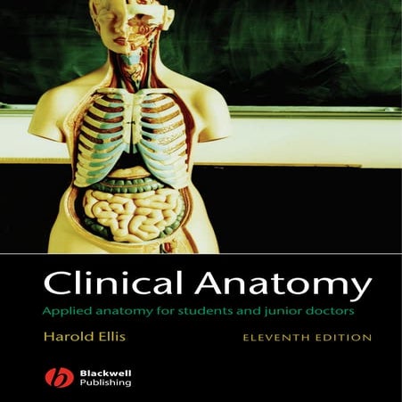 Clinical anatomy | PDF