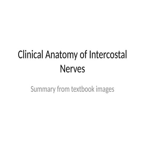 Clinical_Anatomy_Intercostal_Nerves (1).pptx