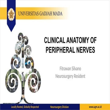 Clinical Anatomy of Peripheral Nerves_ANO.pptx
