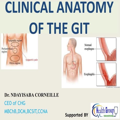 Clinical anatomy of the GIT.pptx