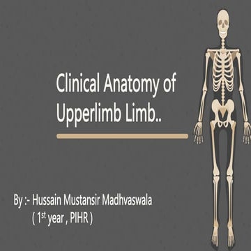 Nerves of upper limb | PDF