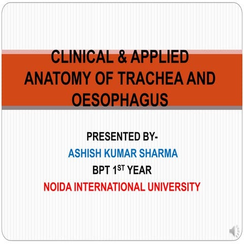 anatomy of trachea.pptx