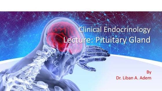 Histological structure of pituitory gland | PPTX
