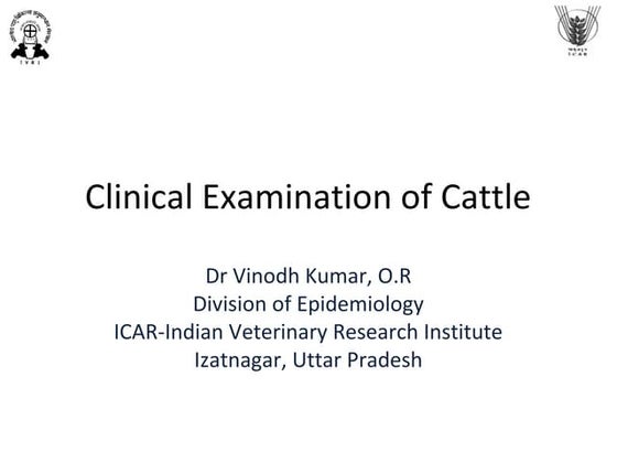 Clinical examination of animals | DOC | Veterinary Medicine | Pets