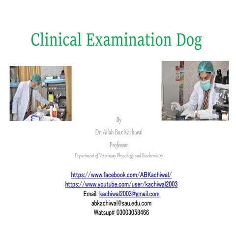 Clinical Examination of Dog.ppt