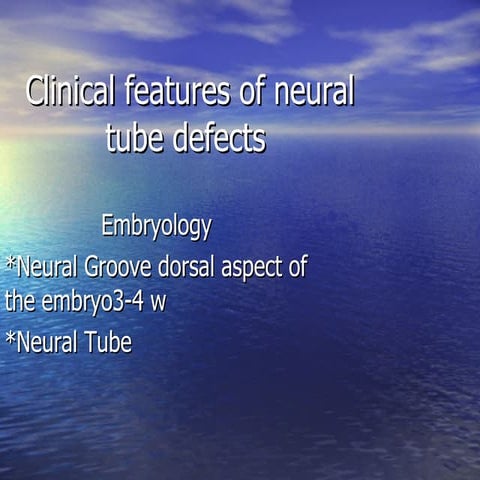 Clinical Features Of Neural Tube Defects | PPT
