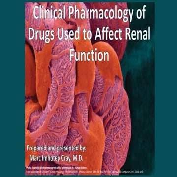 Drug Therapies Affecting Renal Function: An Overview – YSKUT