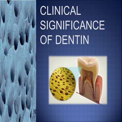 CLINICAL SIGNIFICANCE OF DENTIN.pptx
