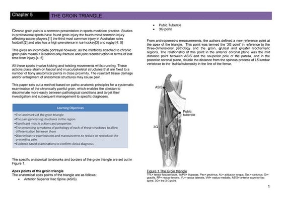 Triangle Of Pain Anatomy SAPHENOUS NERVE; Anatomy, Pain, And ADDUCTOR