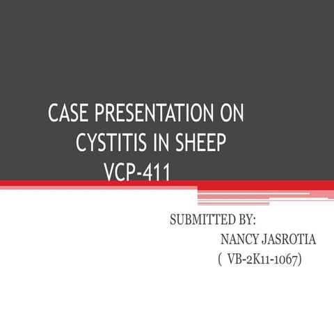 cystitis in sheep | PPTX