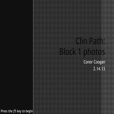 Clinical Pathology Block 1 Photos Study Questions_Mari-Alina Timoshchuk ...