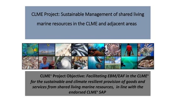 CBDRRM PLANNING WORKSHOP - TEMPLATE.pptx