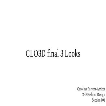 CLO3D Final Looks | PDF