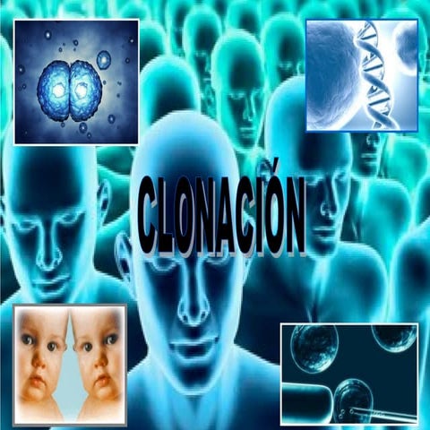 Clonación | PPT