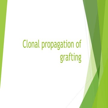 Clonal propagation of grafting.pptx