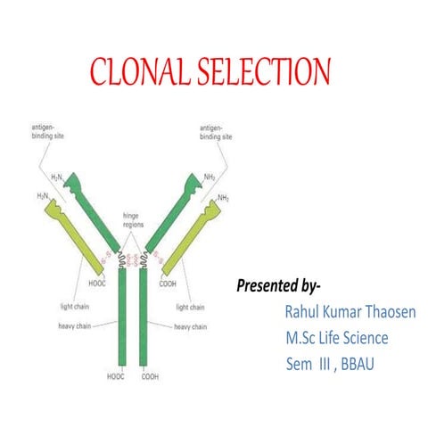 Clonal selection | PPTX