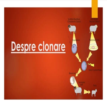 Clonarea.pptx