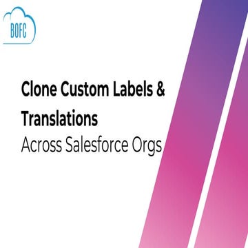 Clone Multiple Custom Labels with Translations | PDF