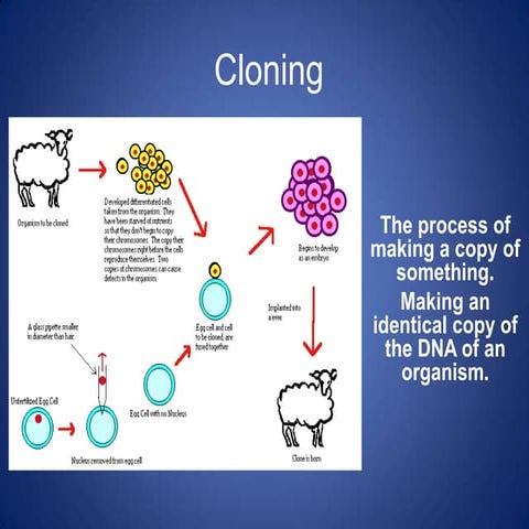 Cloning | PPTX