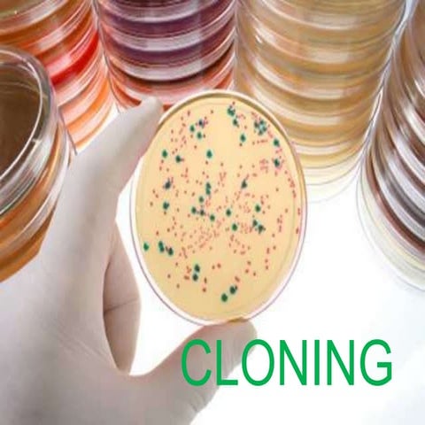 Cloning Presentation2 | PPTX